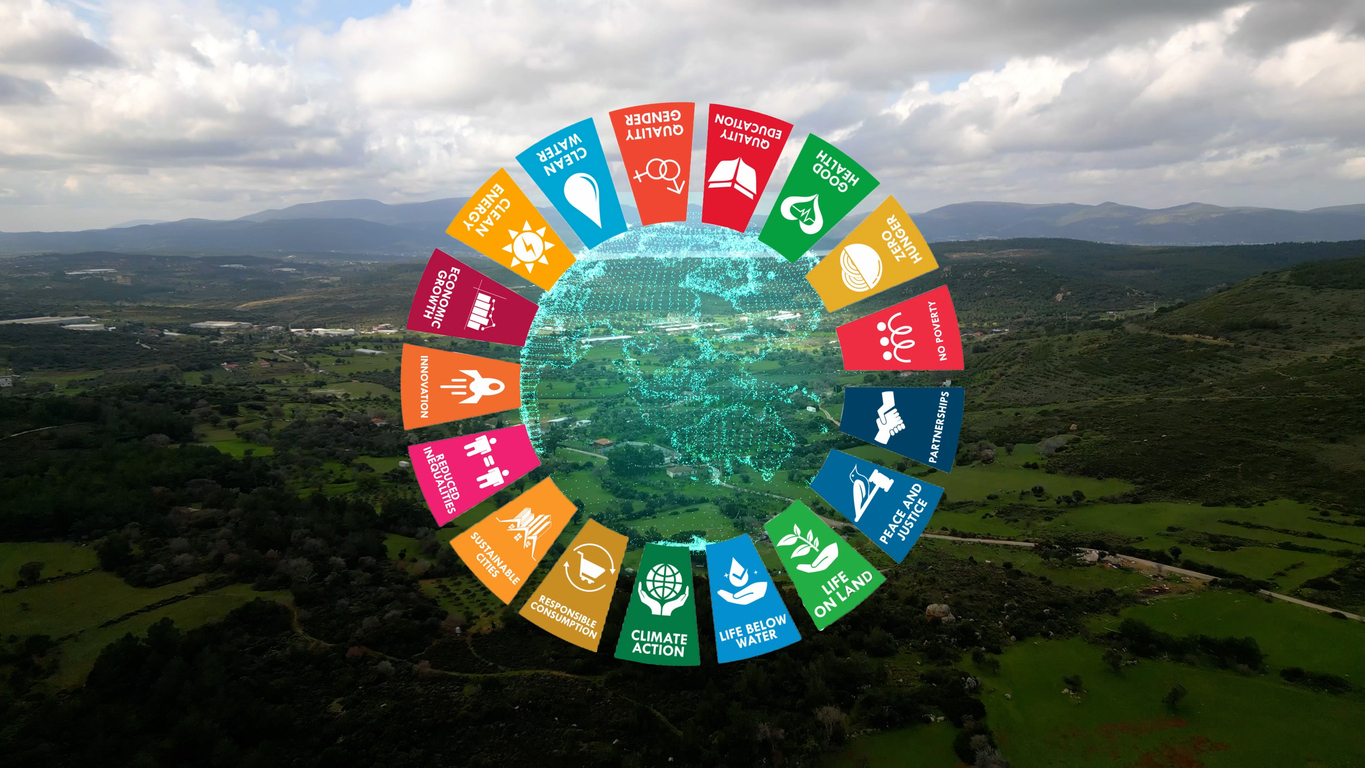 Understanding how research impacts the Sustainable Development Goals ...